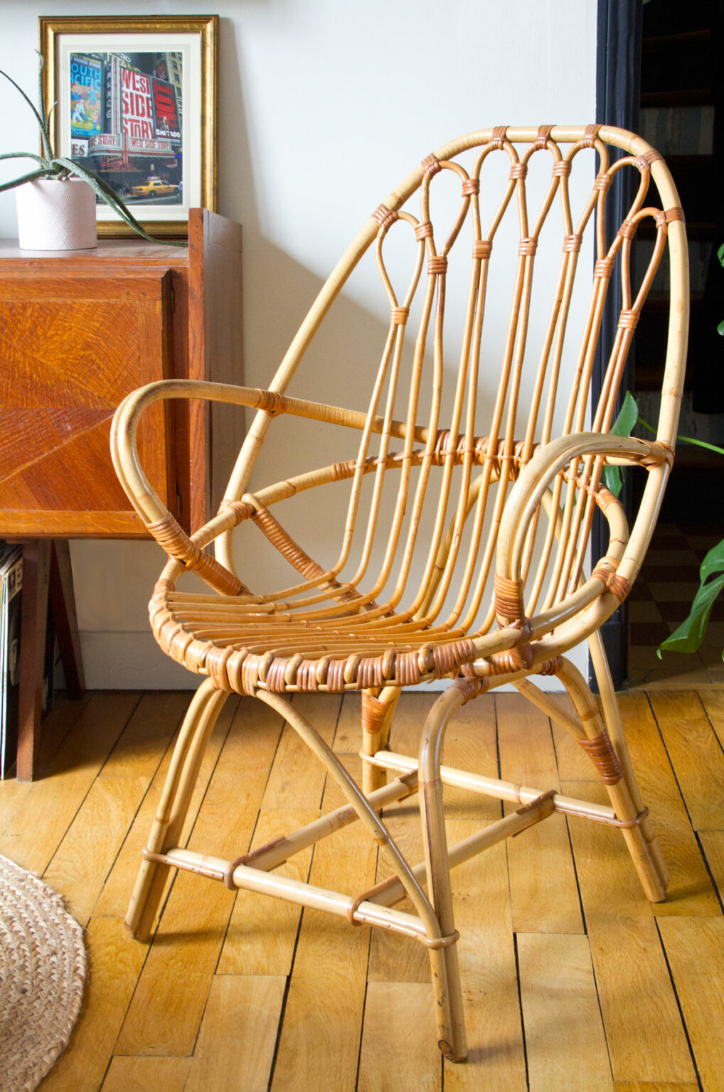 Tout savoir sur le rotin - Sibellesse